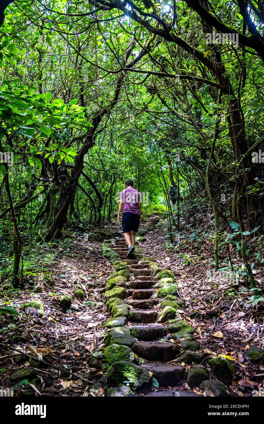 Mombacho Volcano Nature Reserve near the city of Granada, Mombacho’s ...