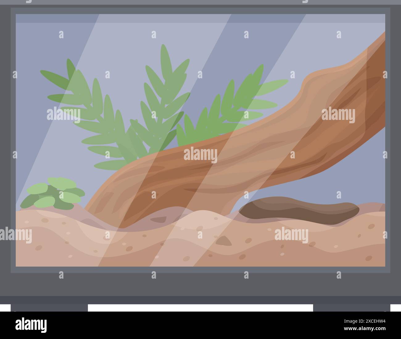 Empty terrarium is waiting its new owner to fill it with animals and ...