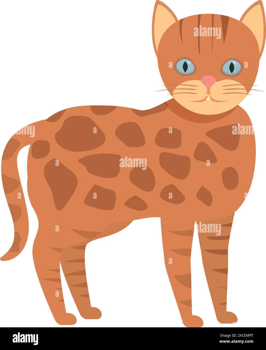 Adorable tabby cat standing with its distinctive spotted coat Stock ...