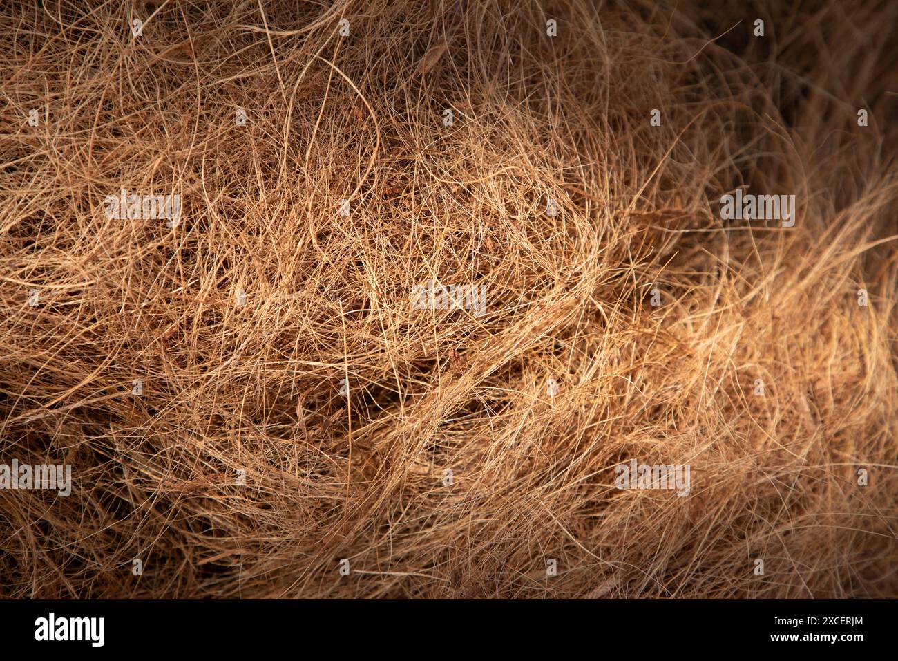 Three stages of coconut coir rope making with traditional process ...