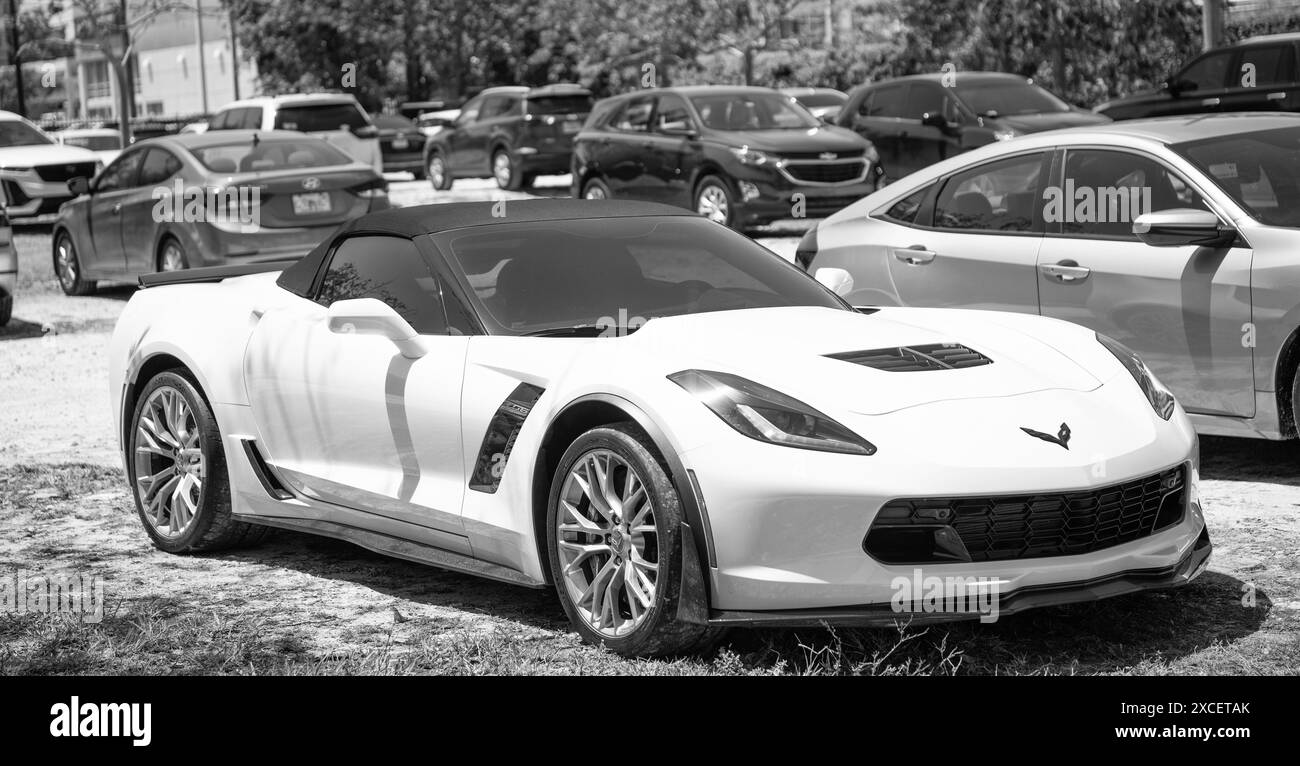 Miami Beach, Florida USA - April 15, 2021: corvette stingray 2016 coupe ...