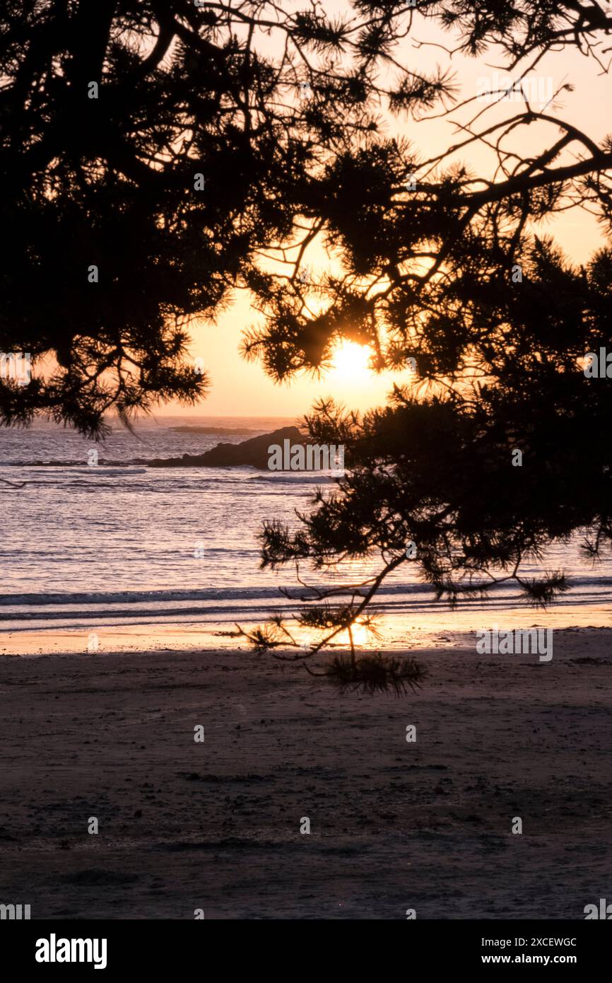 North America, Oregon, Sunset Bay State Park. Beach at sunset through ...