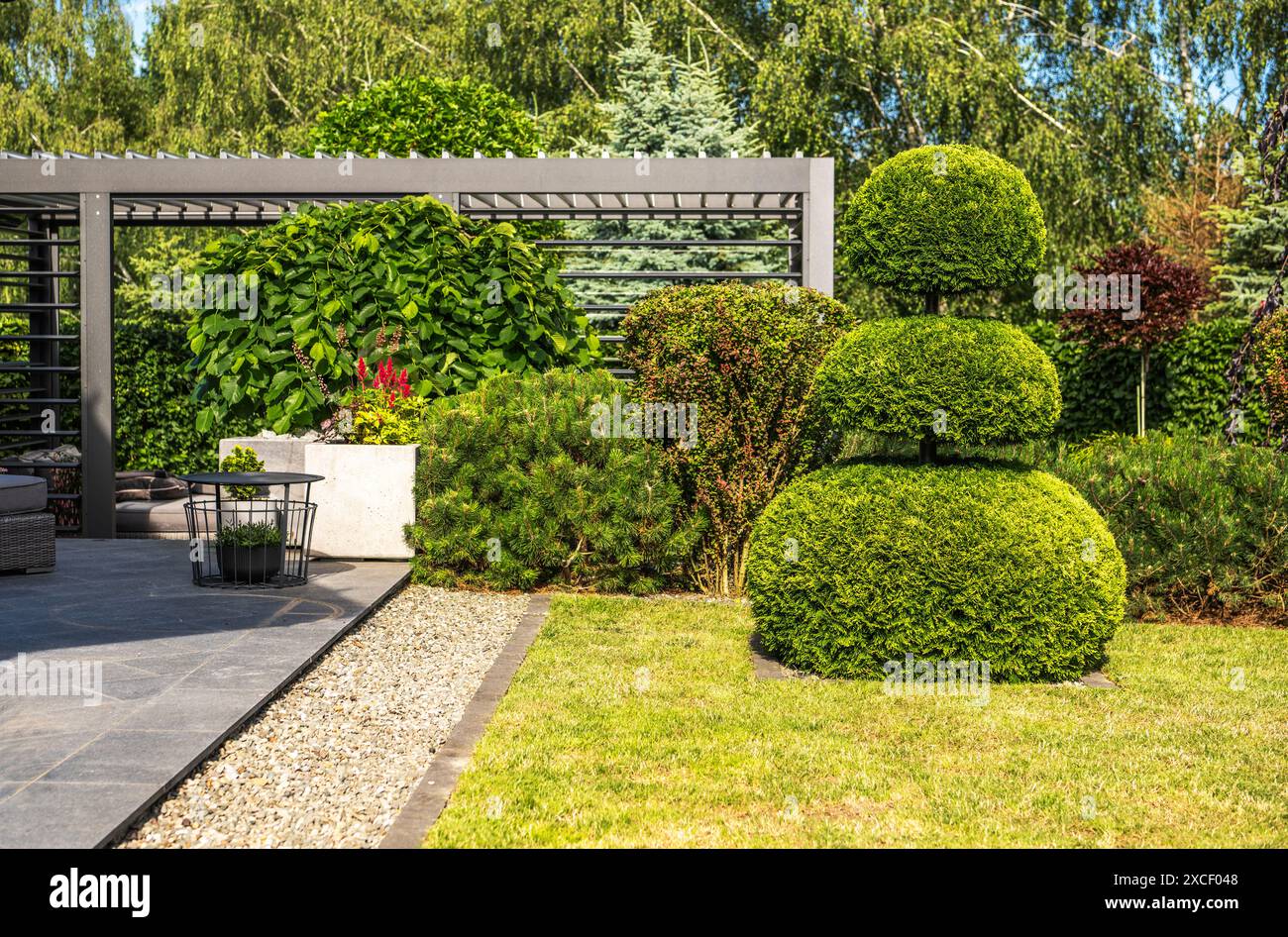 A view of a well-maintained backyard with a pergola and lush greenery ...