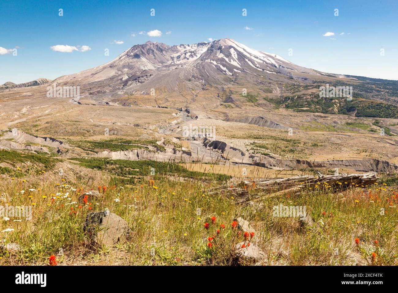 North America, Washington State, Pacific Northwest, Skamania County ...