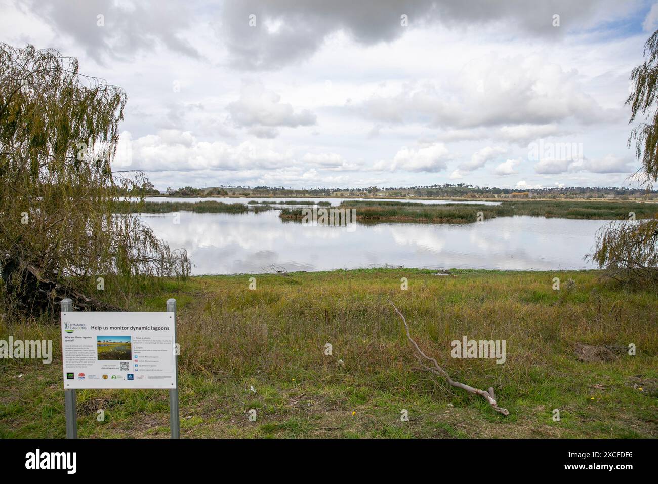 Australian wetlands Dynamic lagoons, Dangars lagoon and wetlands near ...