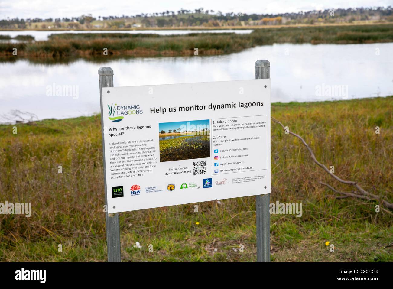 Australian wetlands Dynamic lagoons, Dangars lagoon and wetlands near ...