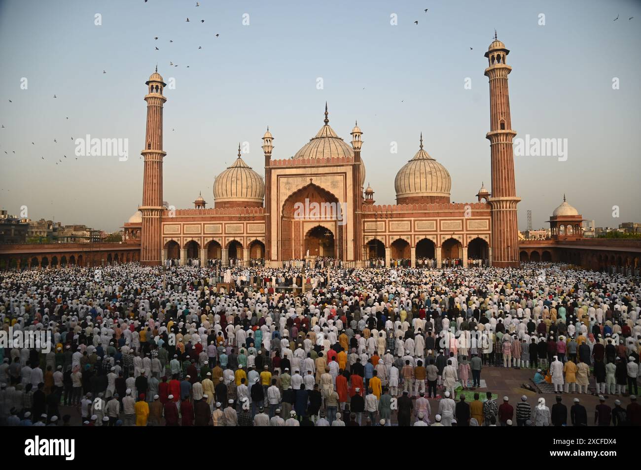 Delhi, New Delhi, India. 17th June, 2024. Muslims devotees offer ...