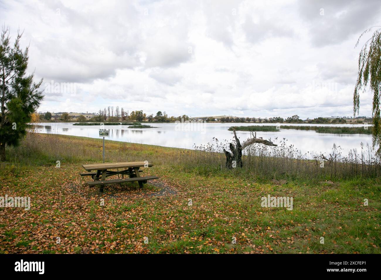 Australian wetlands Dynamic lagoons, Dangars lagoon and wetlands near ...