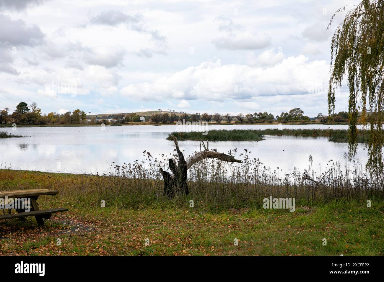 Australian wetlands Dynamic lagoons, Dangars lagoon and wetlands near ...