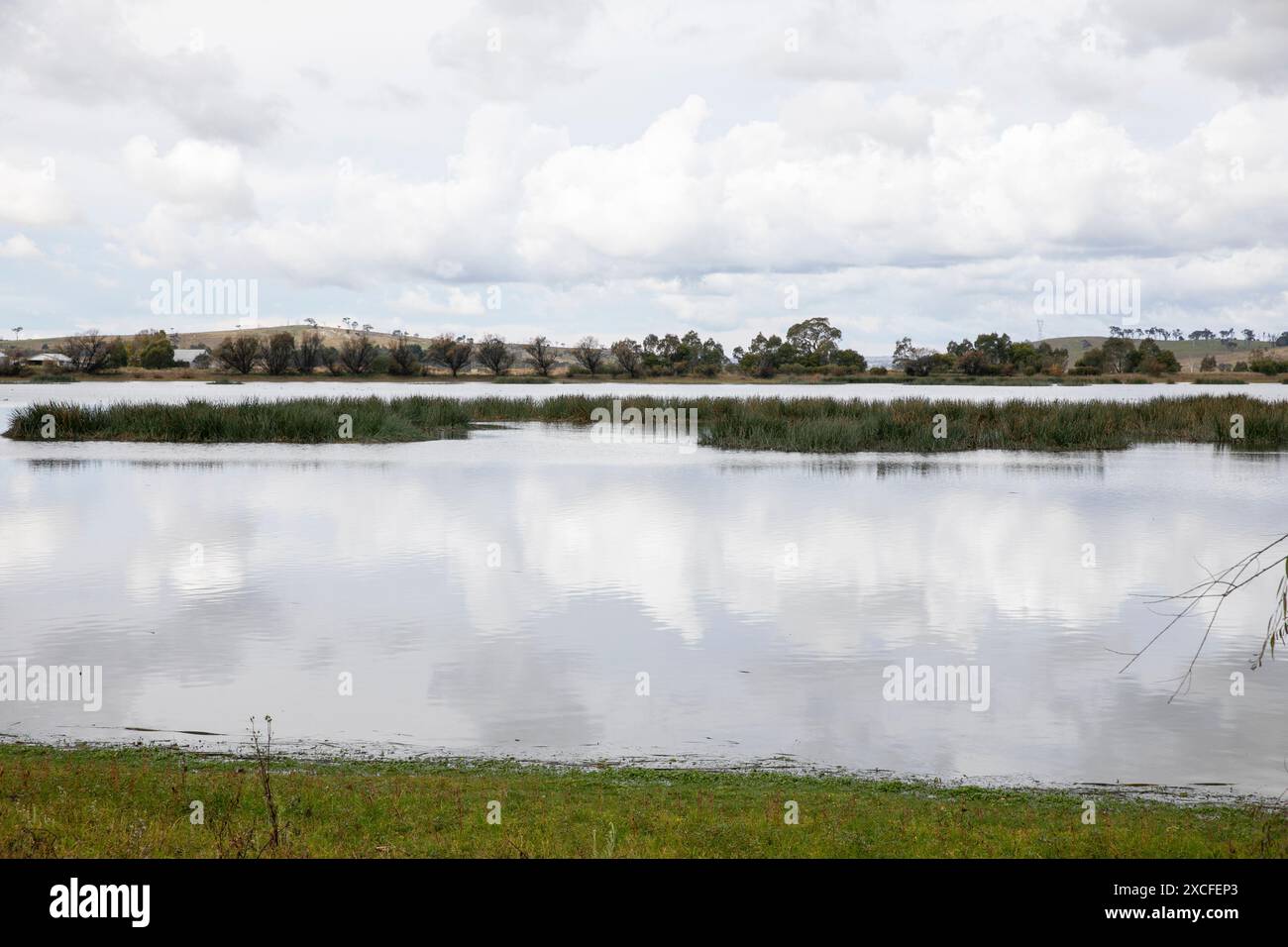 Monitor dynamic lagoons hi-res stock photography and images - Alamy