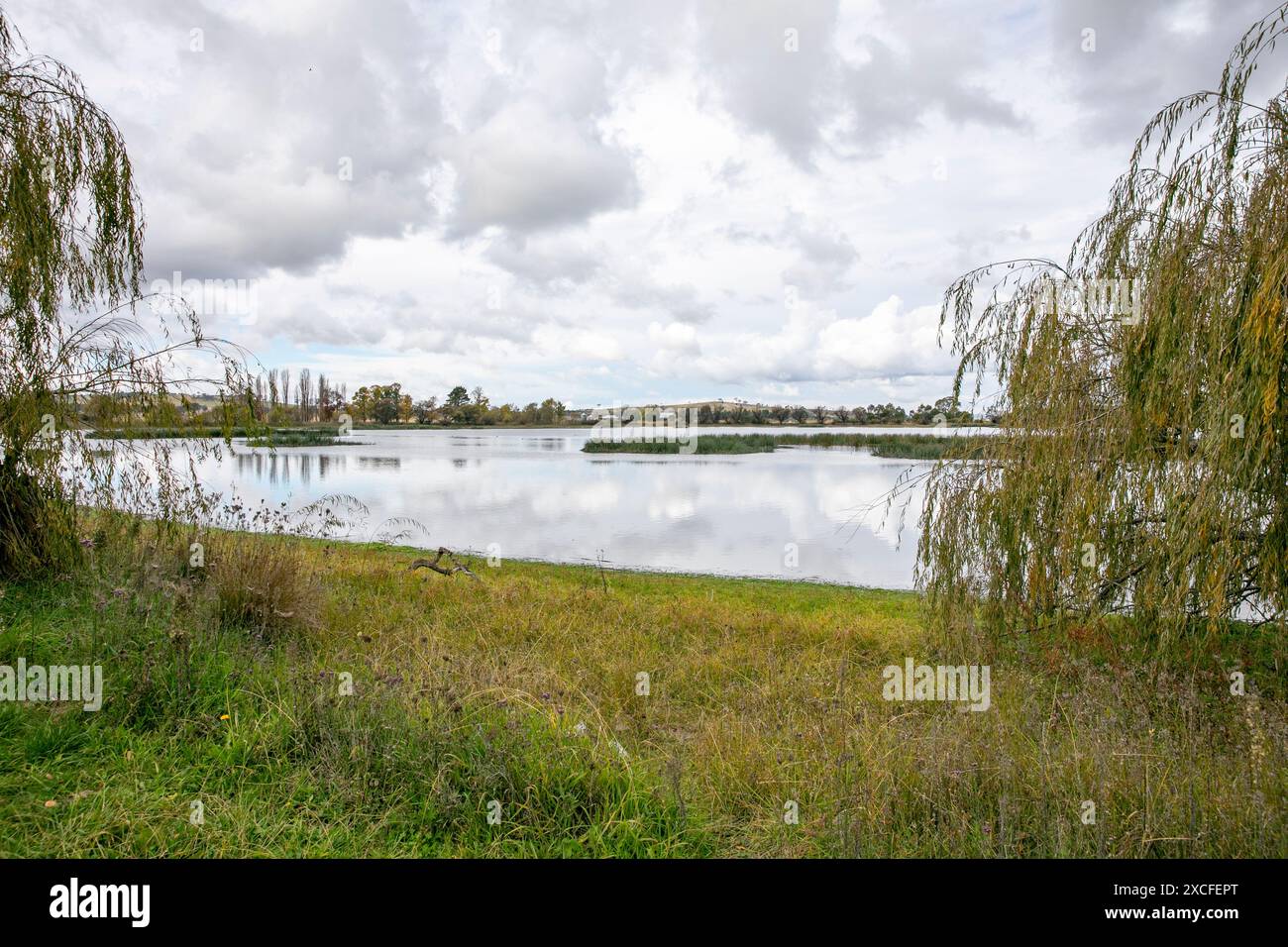 Australian wetlands Dynamic lagoons, Dangars lagoon and wetlands near ...