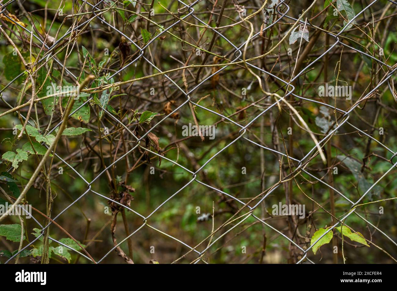 Woven wire fence hi-res stock photography and images - Alamy