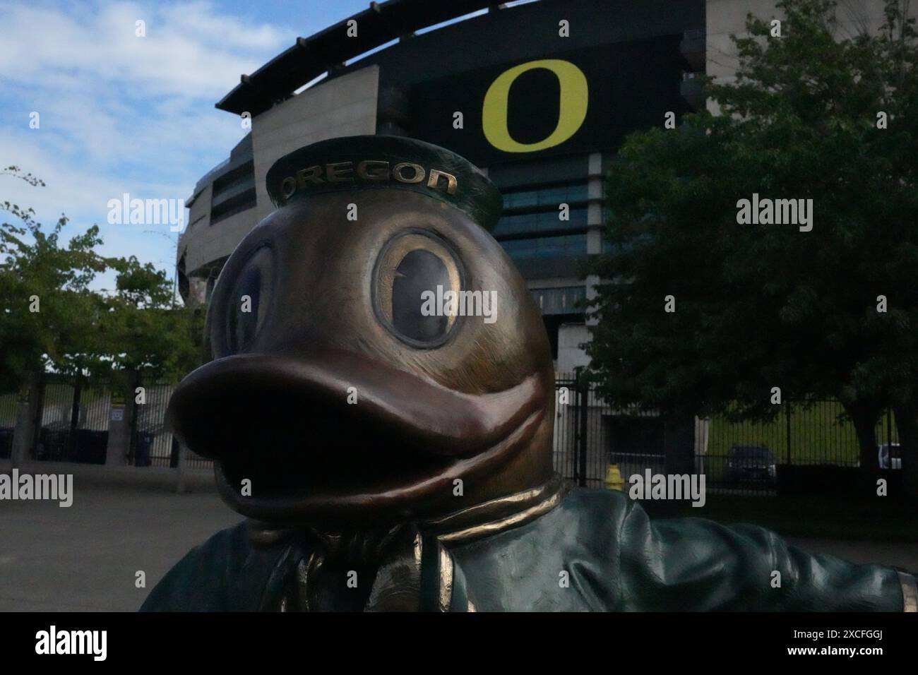 The Duck and Me statue of the Oregon Ducks mascot at the University of ...