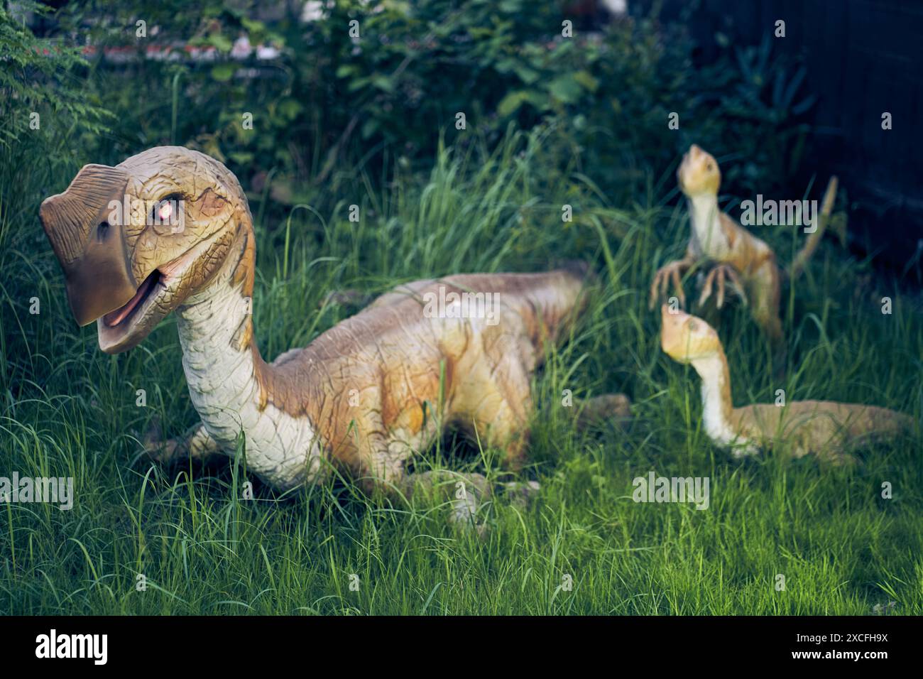 Oviraptor fossil hi-res stock photography and images - Alamy