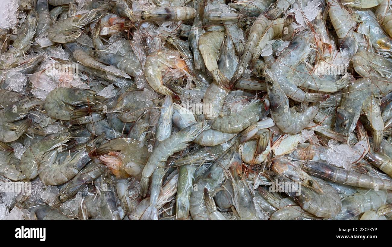 Top view of fresh prawn display in wet market. Seafood concept Stock ...