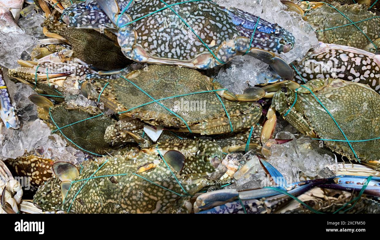 Top view of fresh crabs display in market. Seafood concept Stock Photo ...