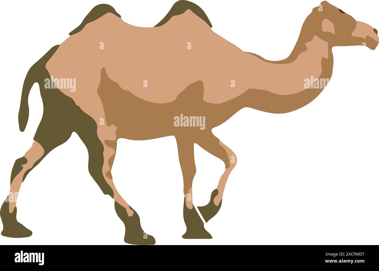 Arid climate adaptation Cut Out Stock Images & Pictures - Alamy