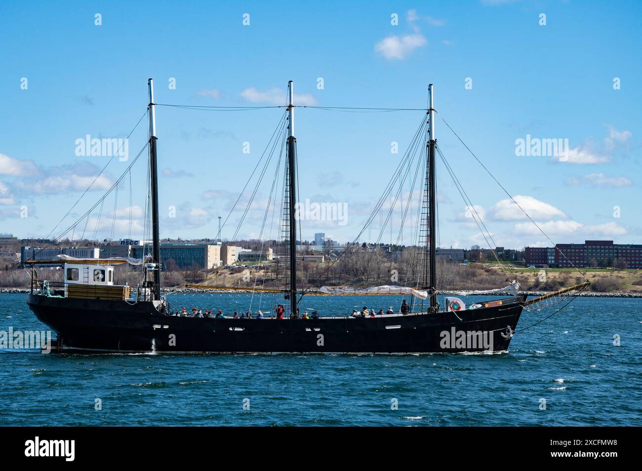 Tall ship Silva in the harbour in Halifax, Nova Scotia, Canada Stock ...