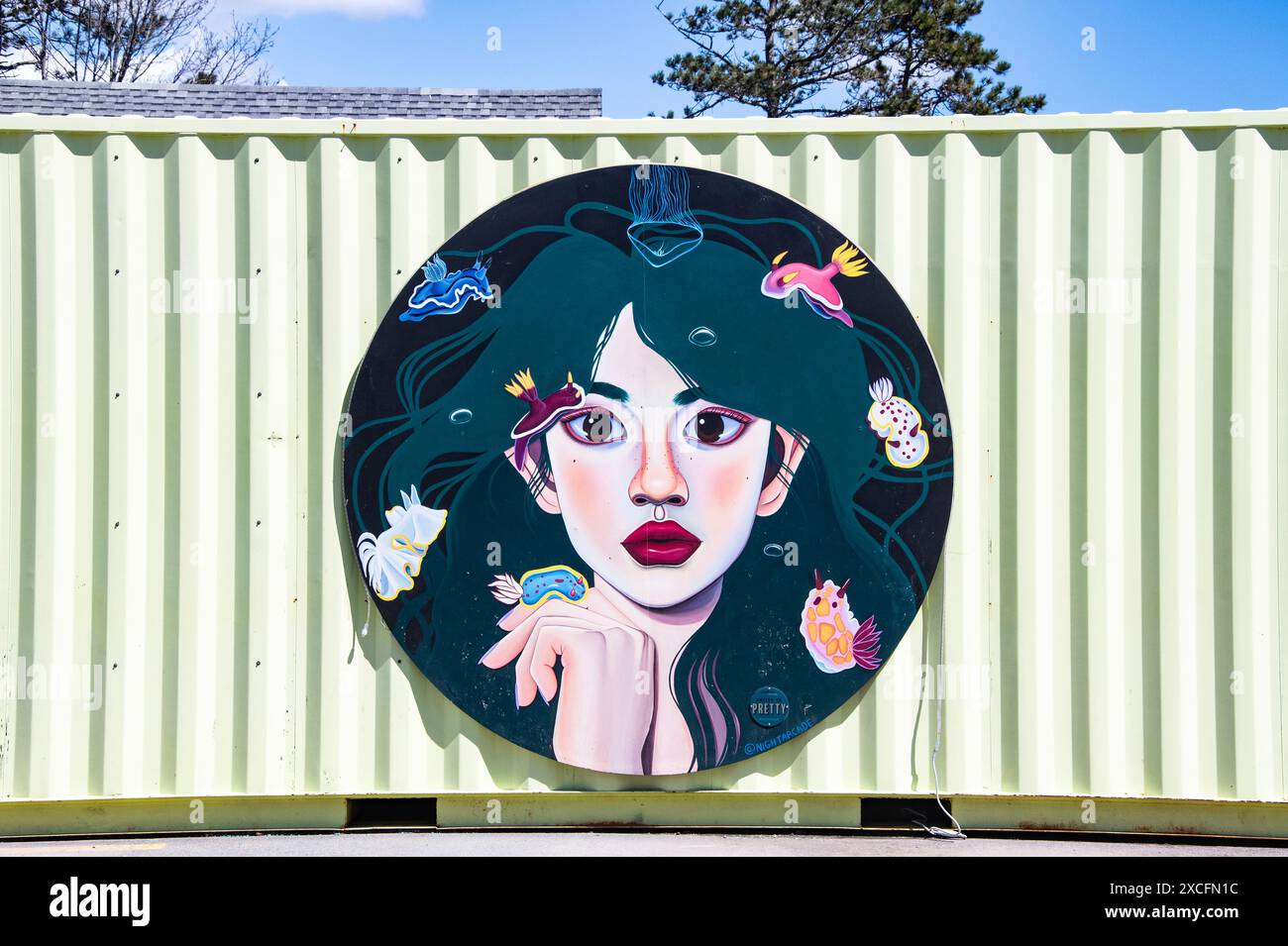 Sea Troll mural portrait of a young woman on a shipping container at ...