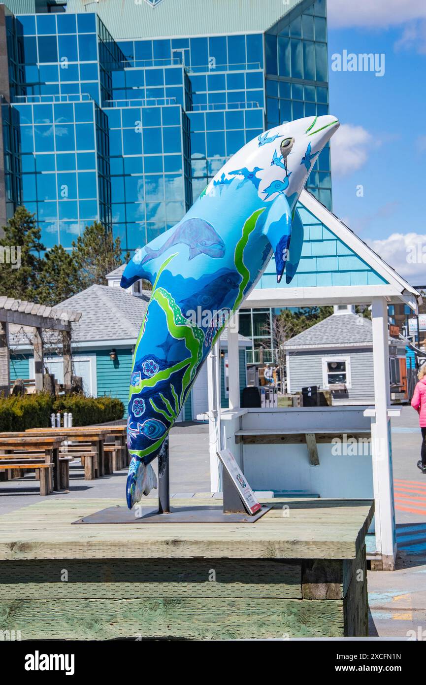 Atlantic canada dolphin hi-res stock photography and images - Alamy