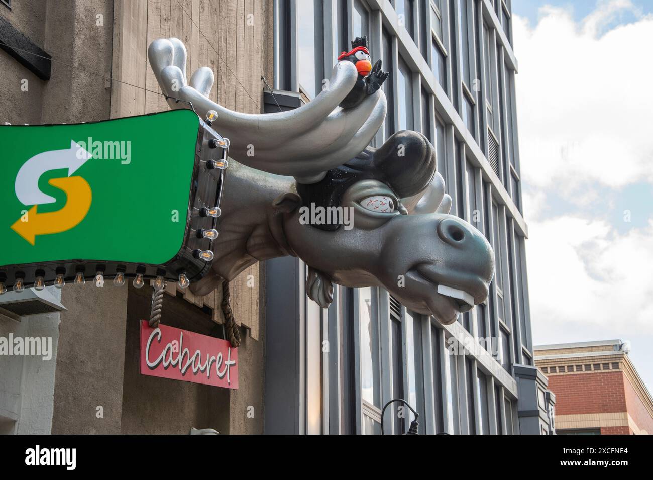 Toothy Moose Cabaret sign on Argyle Street in downtown Halifax, Nova ...