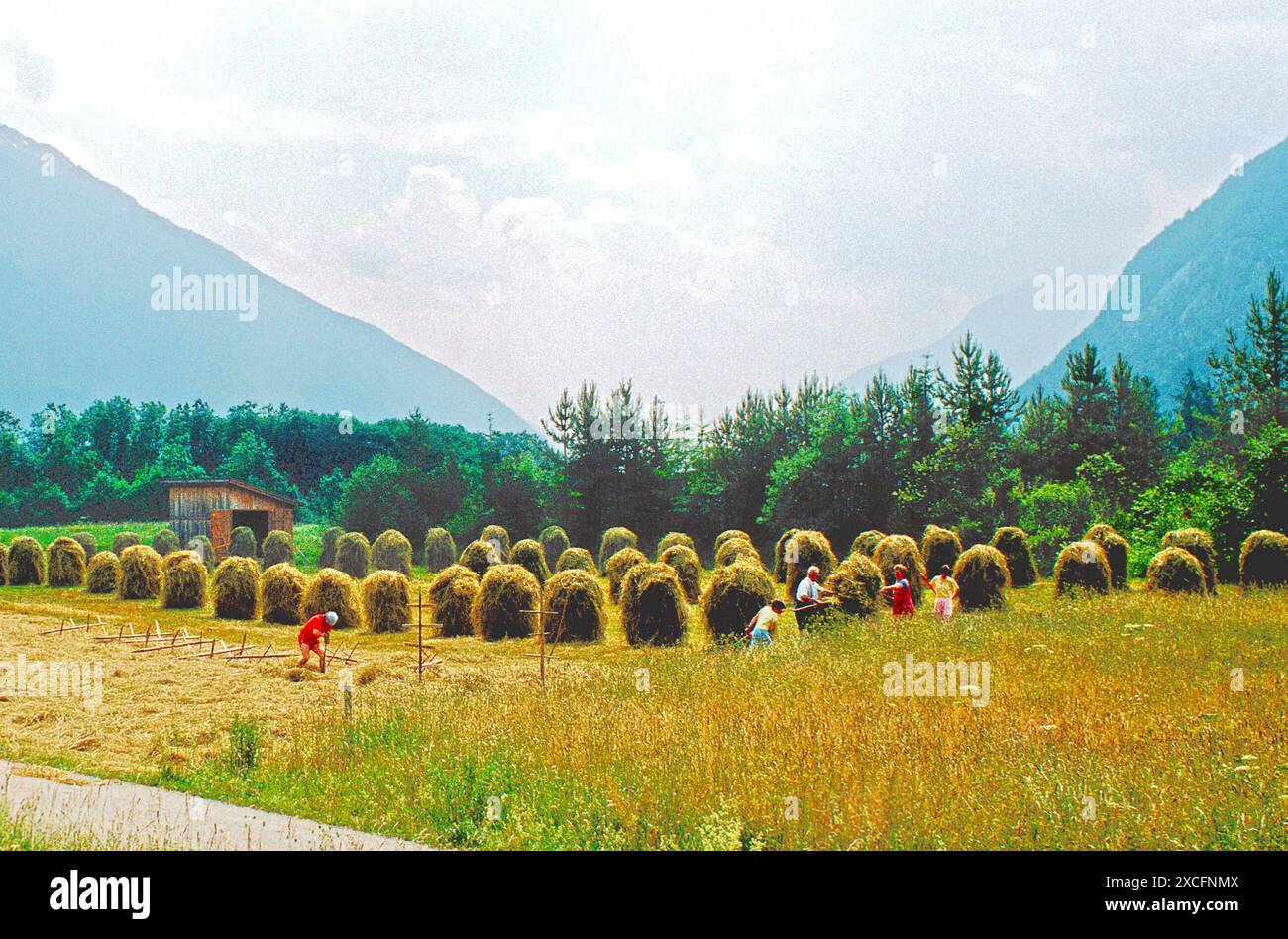 Heuernte in den alpen hi-res stock photography and images - Alamy