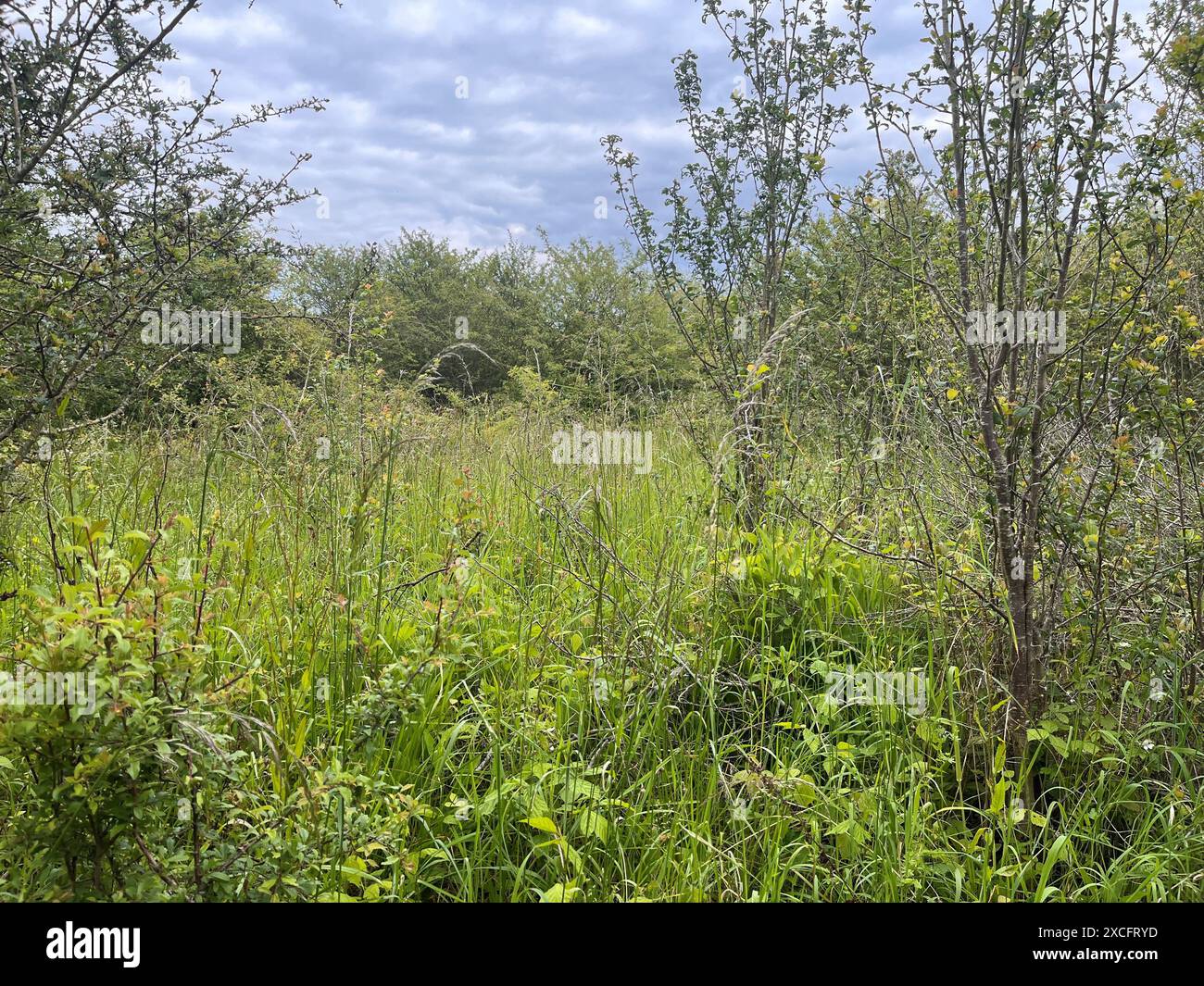 Landded hi-res stock photography and images - Alamy