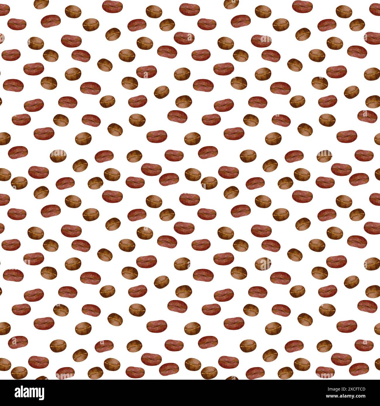 A repeating pattern of coffee beans on a white background, perfect for ...
