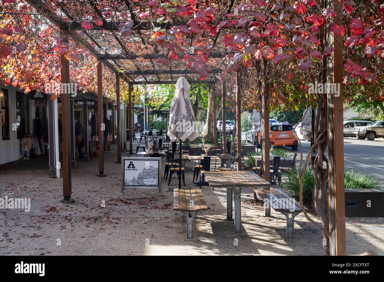 Bellingen town centre, autumn colour vines grow on a frame at the Black ...