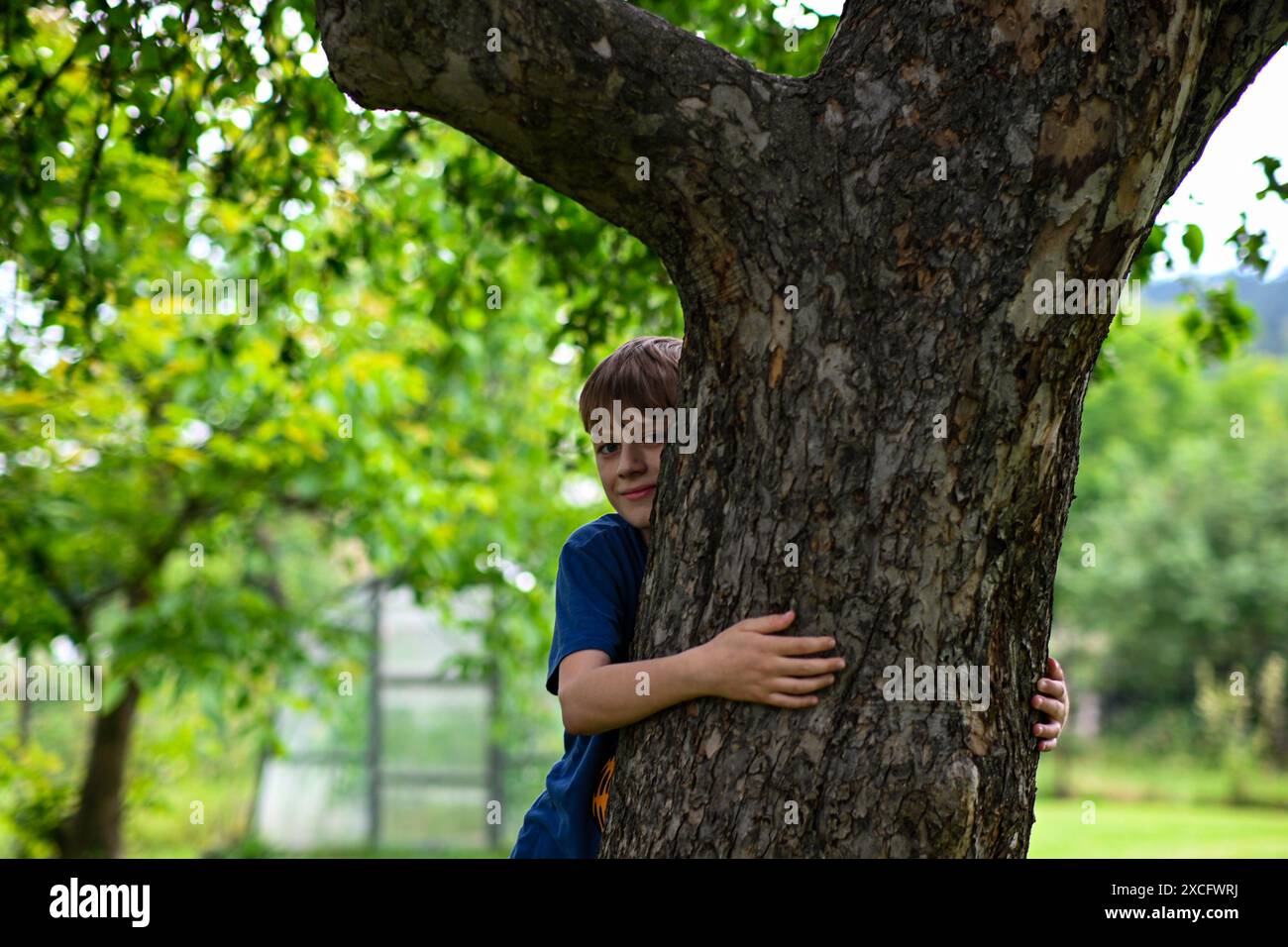 Young boy is embracing a large tree in a park, showing his love for ...
