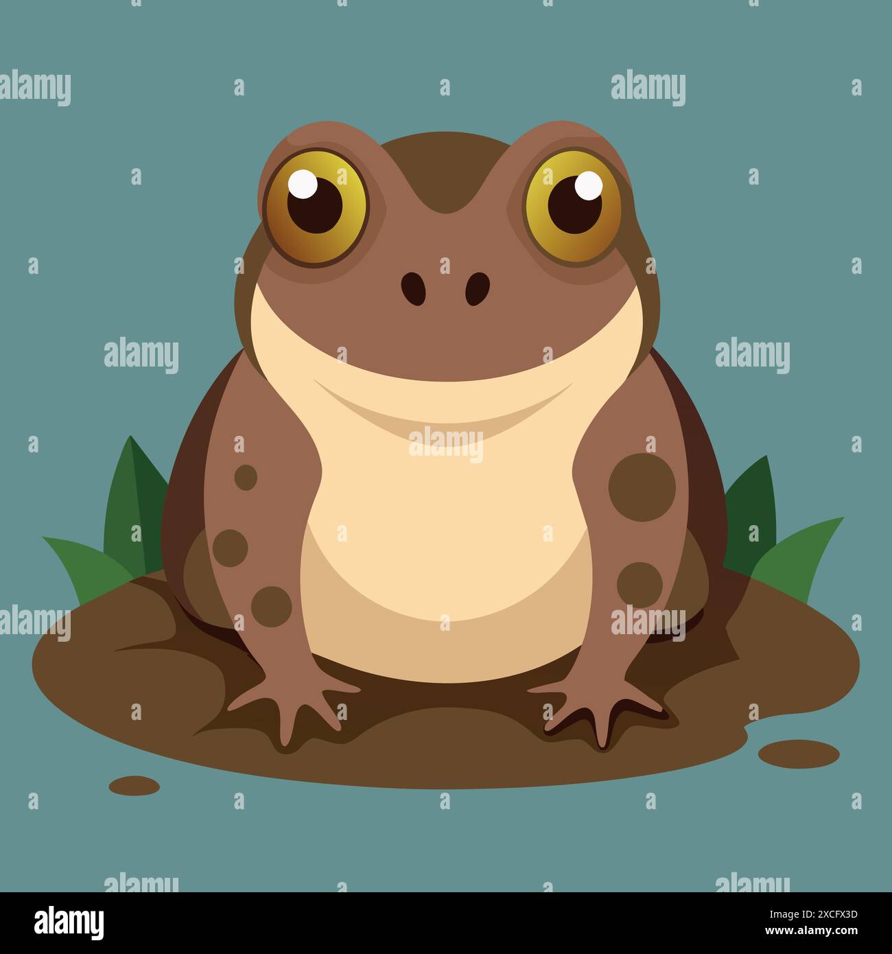 Burrowing frog Stock Vector Images - Alamy