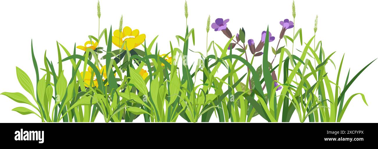Lush Greenery and Flowers Vector Stock Vector Image & Art - Alamy