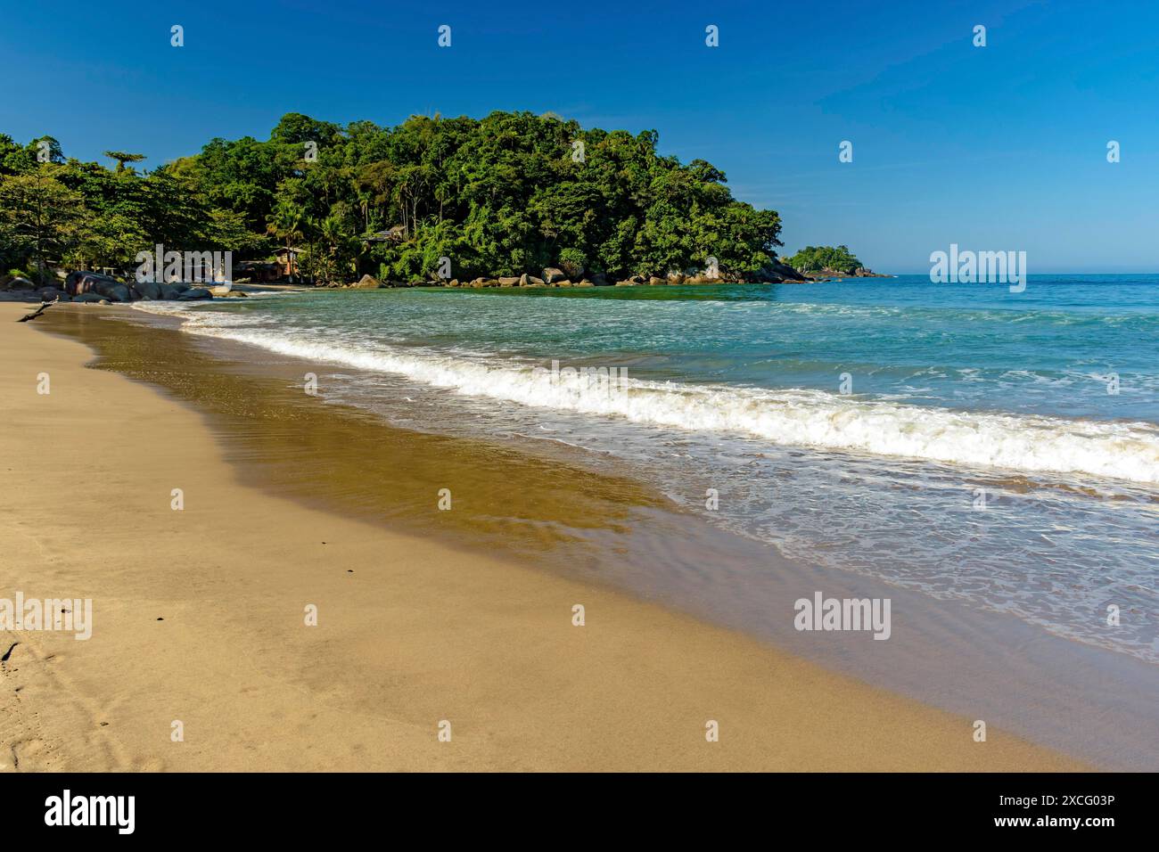 Stunning Castelhanos beach in Ilhabela surrounded by forest and sea ...