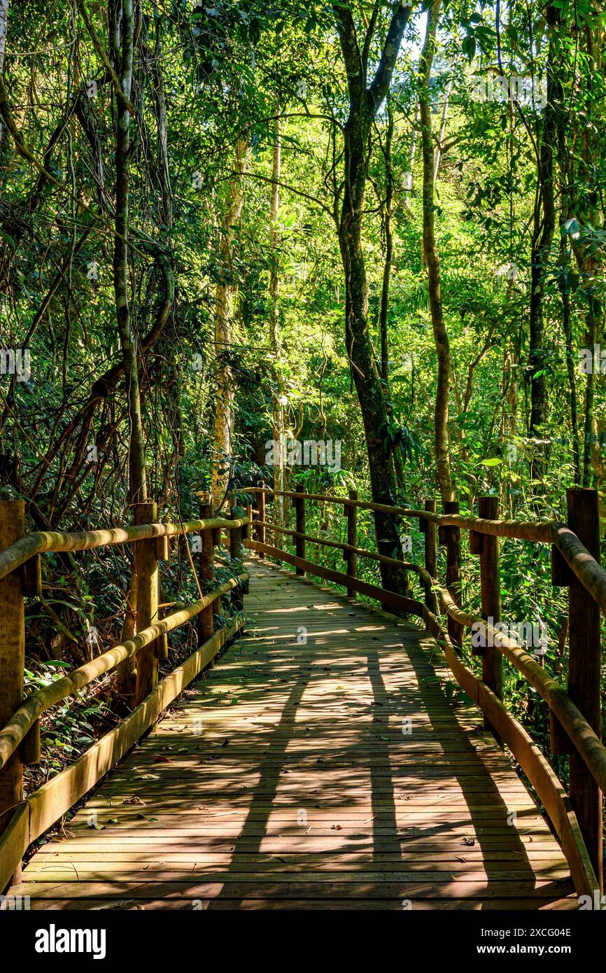 Wooden bridge crossing the rainforest on the island of Ilhabela ...