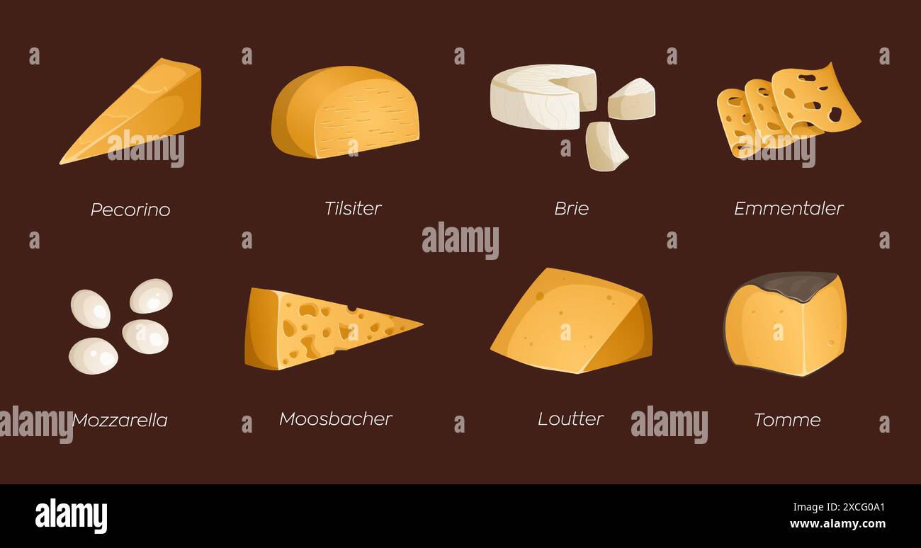 Set of different types of cheeses. Vector illustration with text. Ideal ...