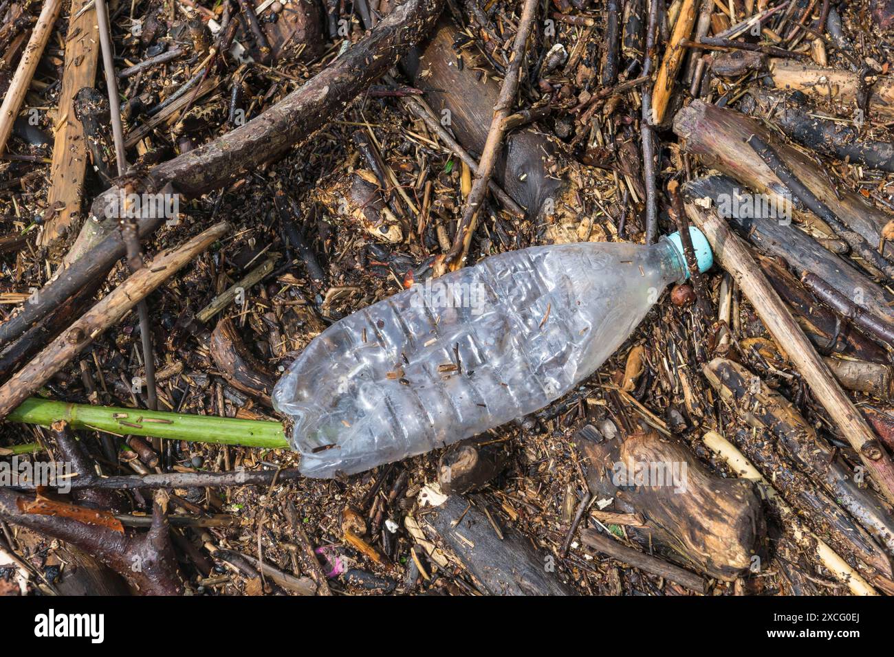 Symbolic image Environmental pollution, plastic waste, flotsam from a ...