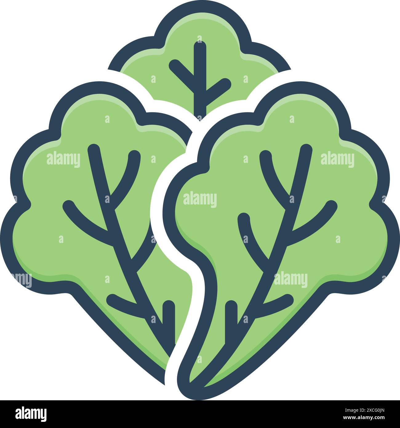 Icon for lettuce,leaves Stock Vector Image & Art - Alamy