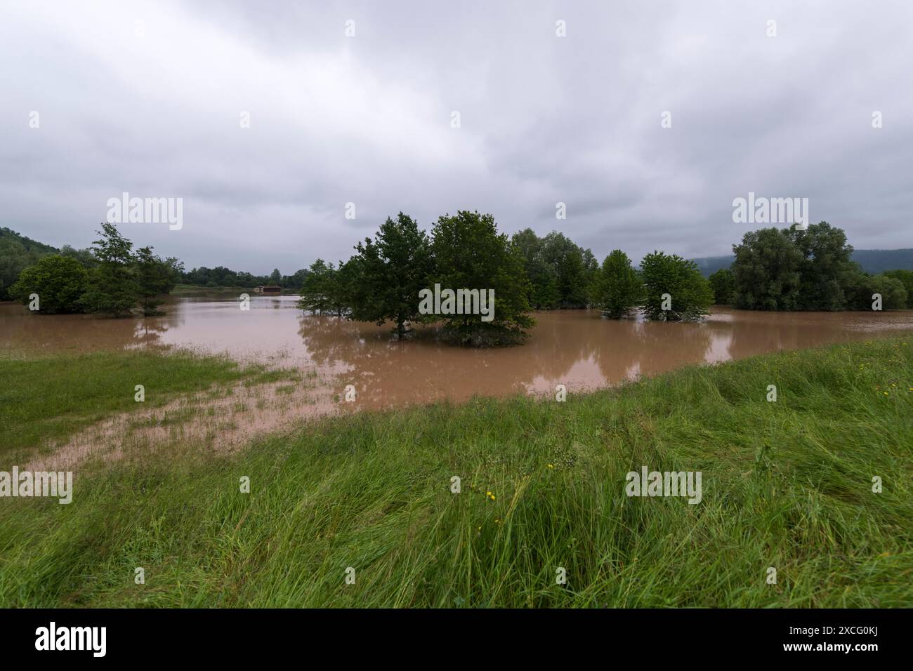 Retention trees hi-res stock photography and images - Alamy