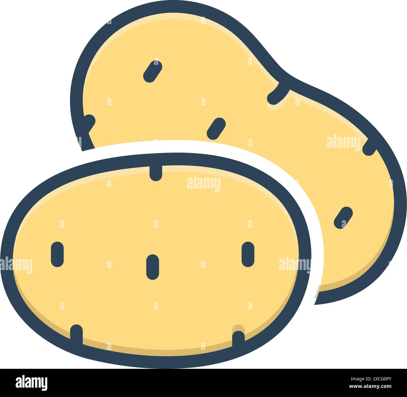 Starch root Stock Vector Images - Alamy