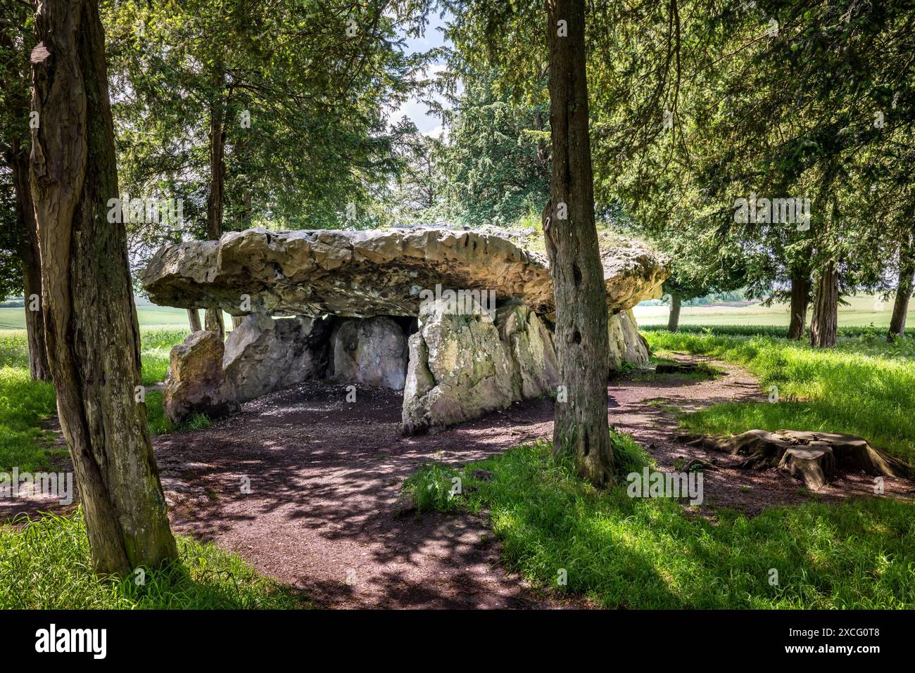 DOLMEN DE METTRAY ( 5000-1800 BCE) METTRAY FRANCE Stock Photo - Alamy
