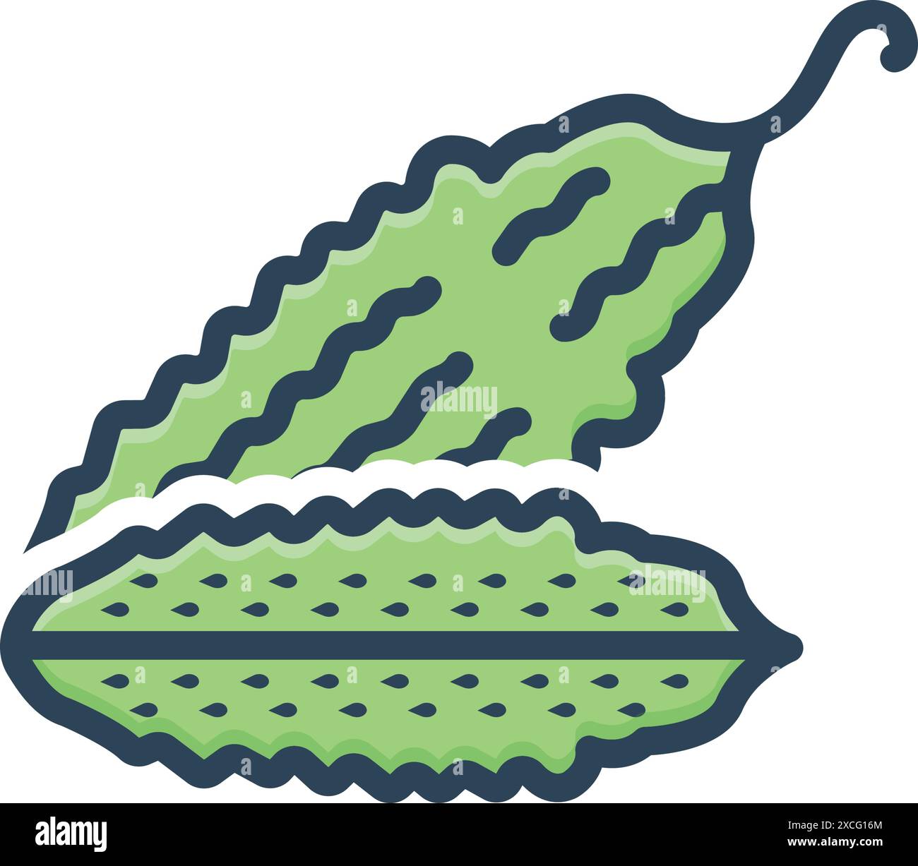 Bitter gourd vector Cut Out Stock Images & Pictures - Alamy