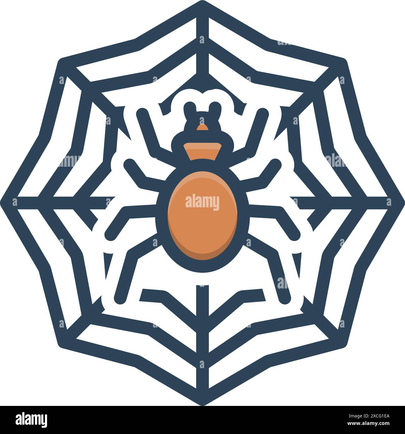 Icon for spider,cobweb Stock Vector Image & Art - Alamy