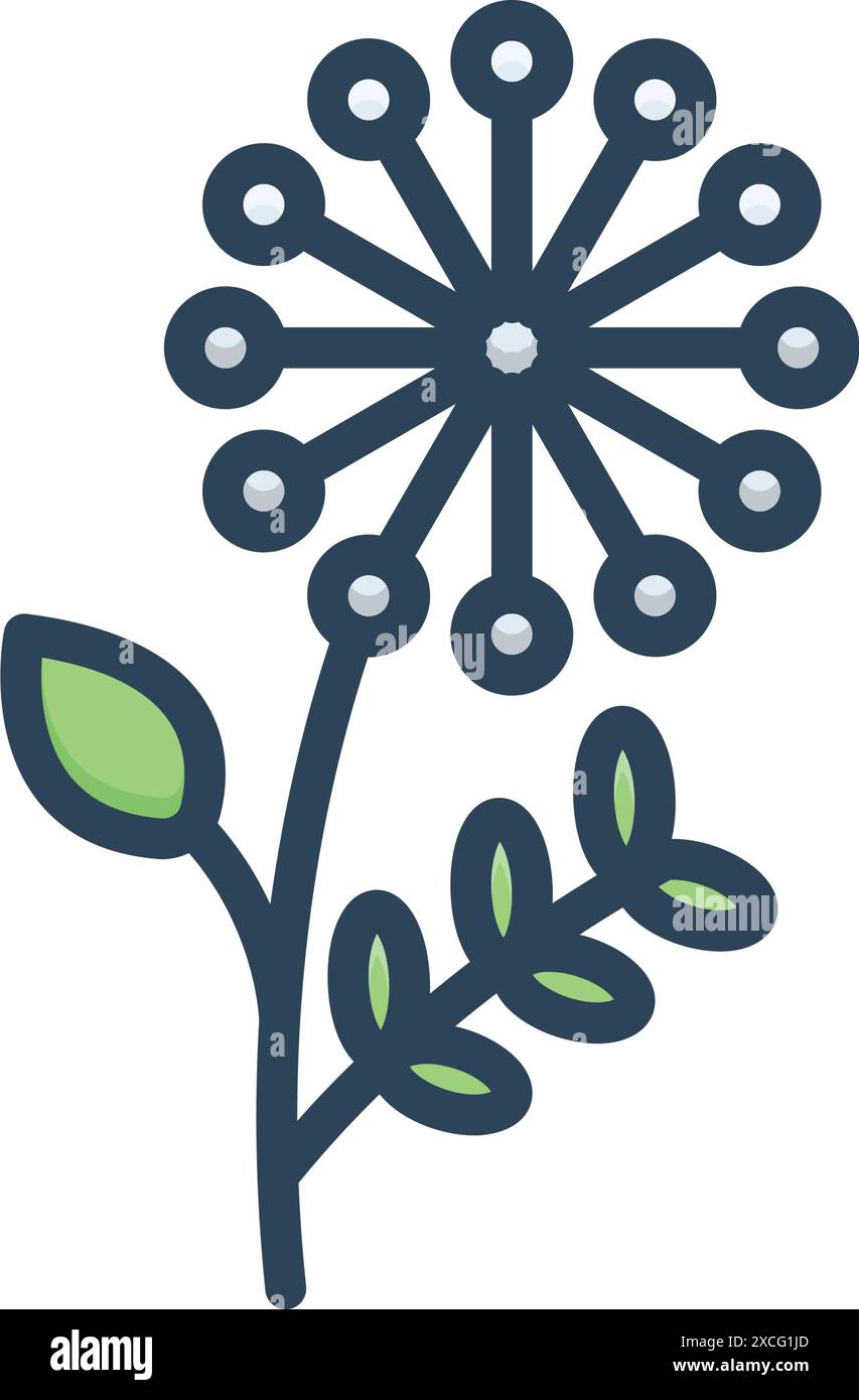 Icon for touch me not, mimosa pudica Stock Vector Image & Art - Alamy