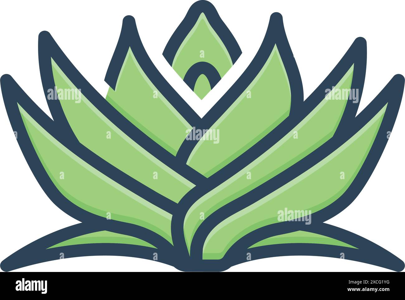 Pandanus Stock Vector Images - Alamy