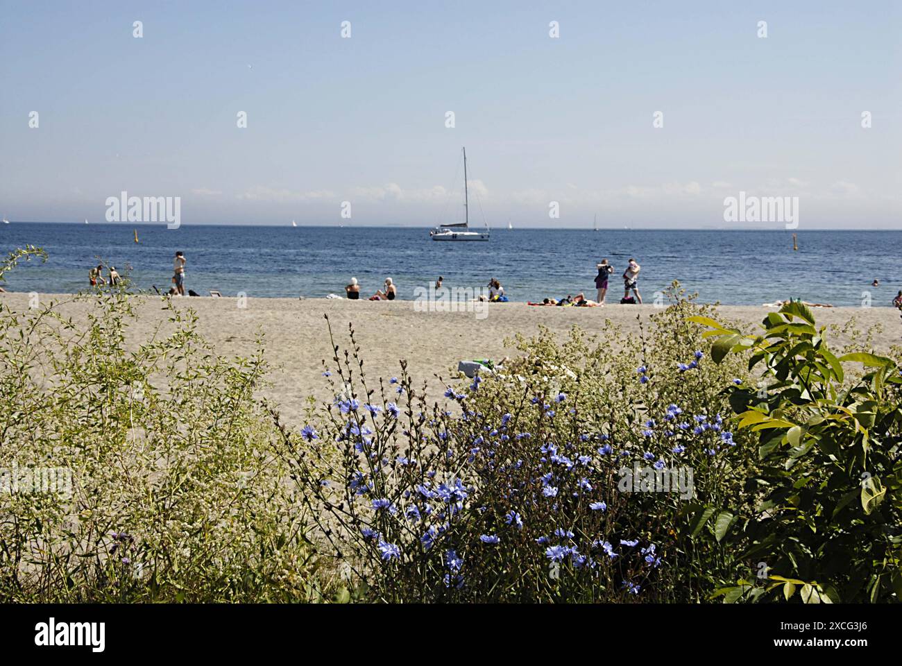 KASTRUP /COPENHAGEN /DENMARK- Sun bathers and swimmers and beach life ...