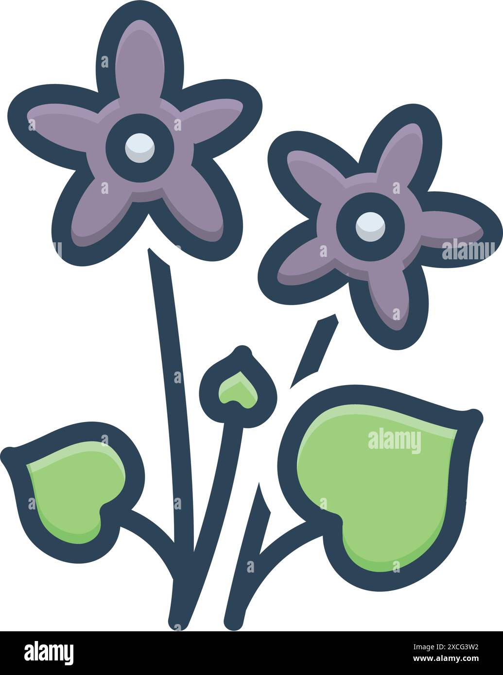 Blue harebell flowers Stock Vector Images - Alamy