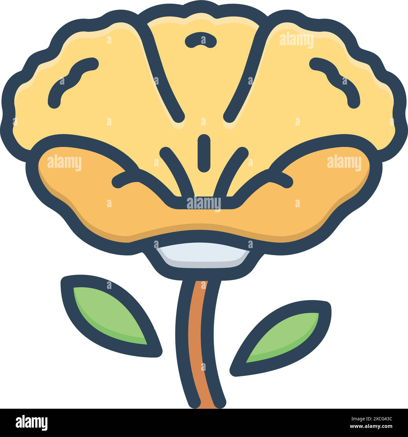 Icon for poppy ,papaveraceae Stock Vector Image & Art - Alamy