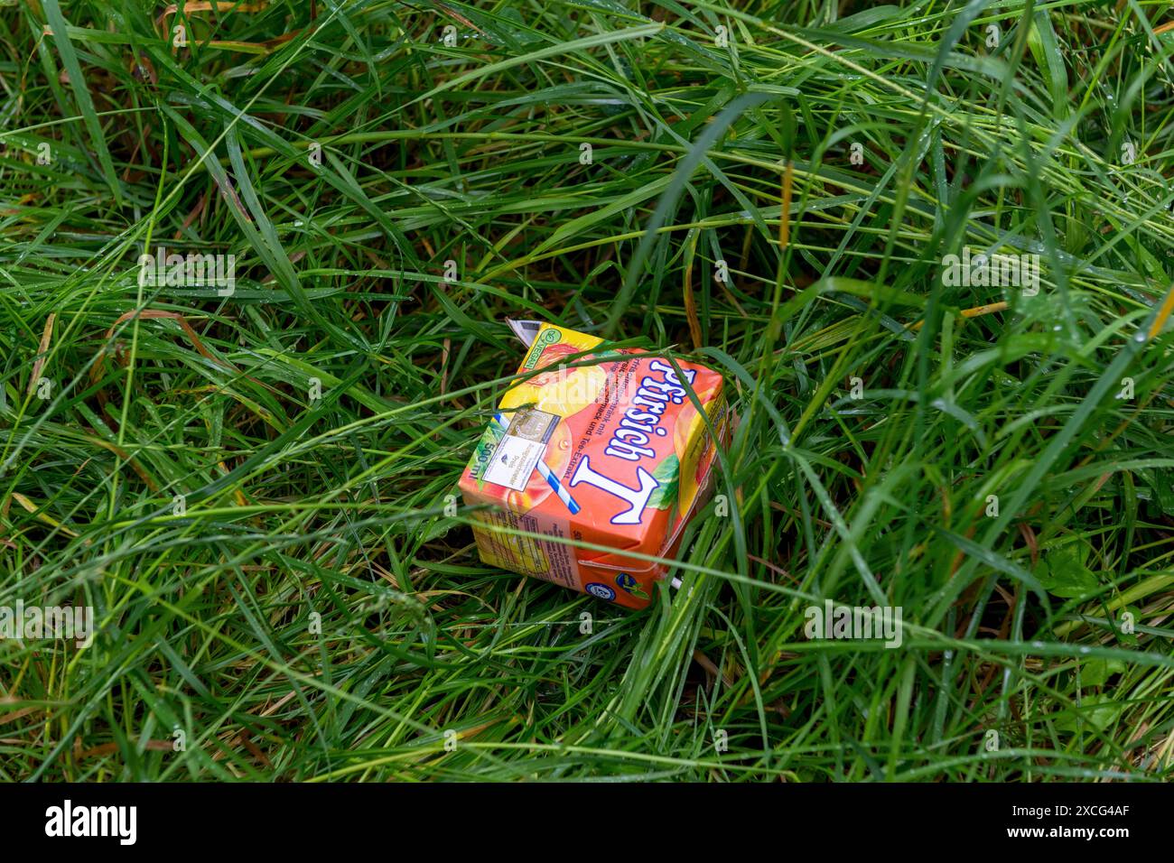 Symbolic image environmental pollution, discarded Tetra Pak, peach tea ...