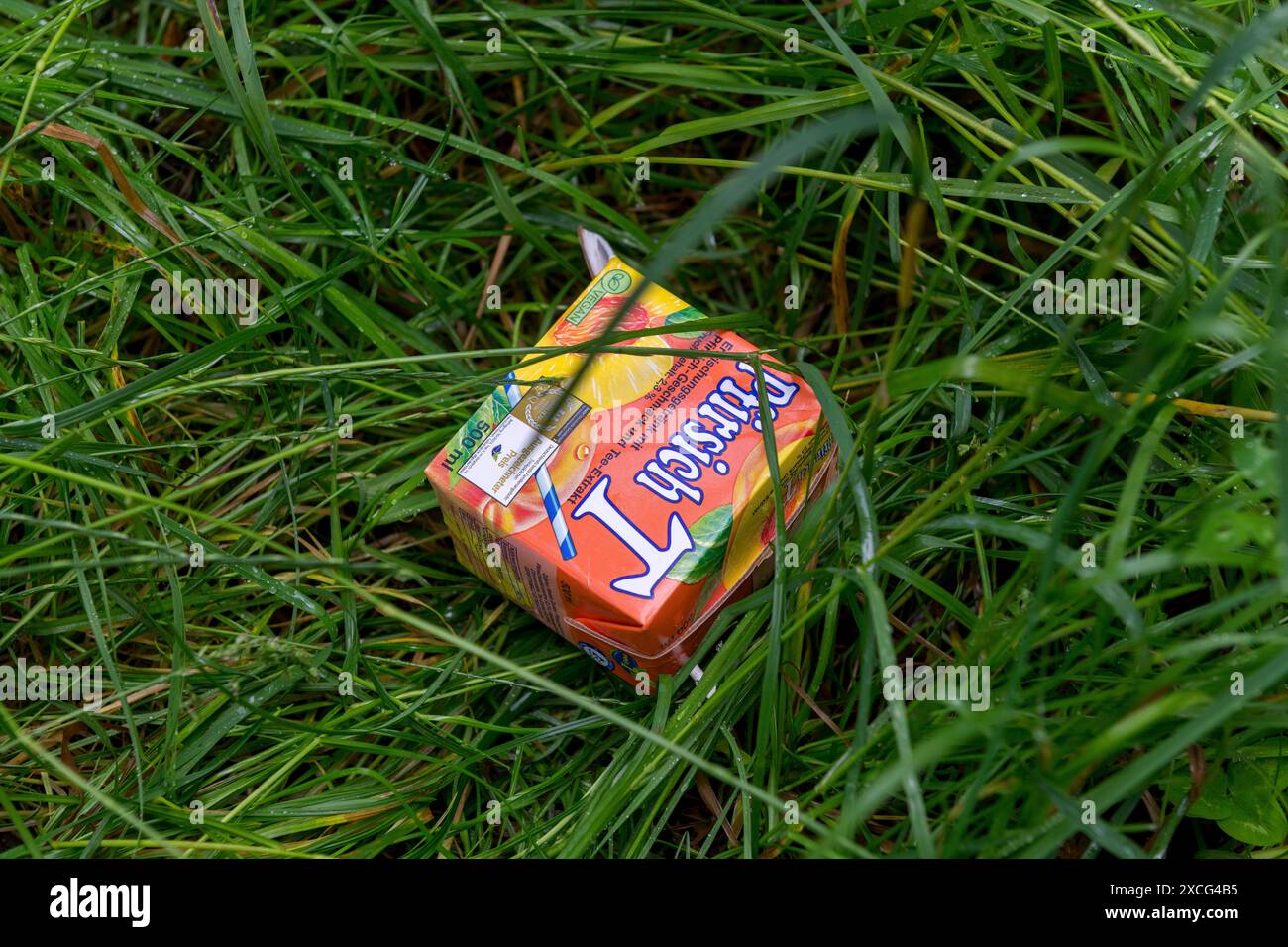 Symbolic image environmental pollution, discarded Tetra Pak, peach tea ...