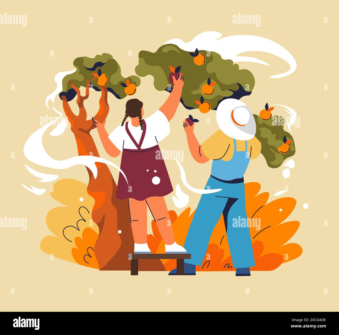 Picking fresh produce fruit Stock Vector Images - Alamy